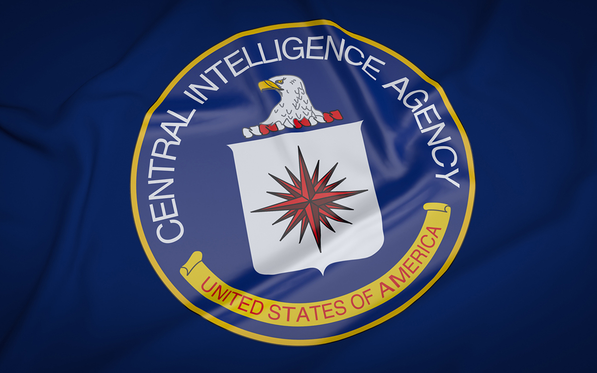 Former CIA software engineer who leaked to WikiLeaks sentenced to 40 ...